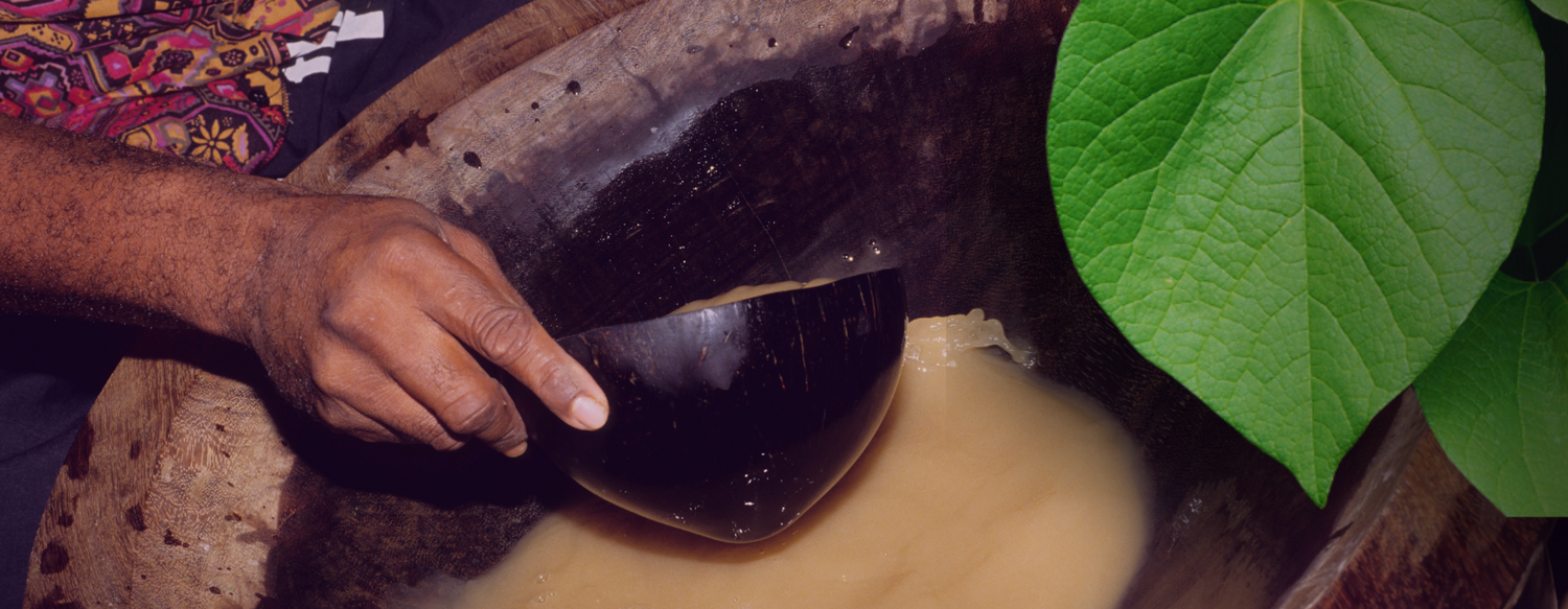 Exploring Kava Culture Around the World – Happy Herb Co
