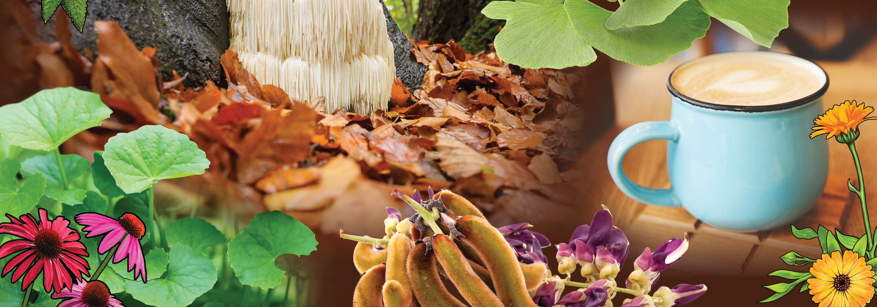 Herb Hub – Happy Herb Co