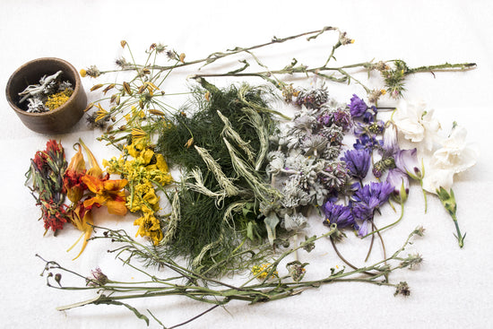 Happy Herb Co | Herbs for Health & Wellness